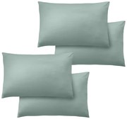 Povlaky na polštáře v sadě 4 ks 50x75 cm So Soft Non-Iron – Catherine Lansfield
