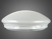 LED plafon/svítidlo Osmod 15W DW