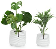 Fox & Fern Heusden, sada 2 květináčů, polyston, vhodný na rostliny, ruční výroba, 3D vzhled
