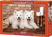 Castorland puzzle štěňata samojeda 1000 dílků
