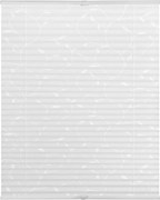 Lichtblick Plisovaná roleta, od 45 x 130 cm (účinek: rostlina, 70 x 130 cm)