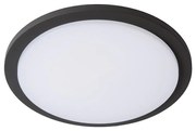 Lucide 28859/30/30 - LED koupelnové svítidlo ORAS LED/20W/230V černé IP54