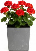 PLASTOVÝ KVĚTINÁČ FLORE 30,5X29,5X29,5 CM IMITACE BETONU ŠEDÁ