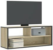 TV skříňka dub sonoma 100 x 31 x 39,5 cm kompozitní dřevo a kov