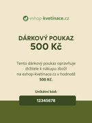 Dárkový poukaz - 500 Kč