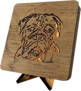 Li-Go "Boxer" lampa 19x19 cm provedení povrchu: dub světlý