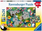 Ravensburger Koaly a lenochodi 2x24 dílků