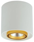 LED Bodové svítidlo XENO LED/15W/230V bílá 1200lm