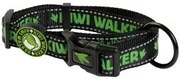 KIWI WALKER s.r.o Obojek nylon 42-55/2,5cm zelená Kiwi