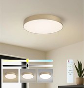 BRILAGI - LED Stmívatelné strop. svítidlo POOL LED/60W/230V pr. 50 cm zlatá + DO
