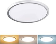 LED stropní světlo odolné vůči vlhkosti WO826 - průměr 30 cm, bílá