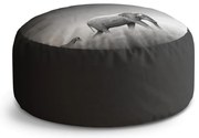 Sablio Taburet Circle Slon a zebra: 38x48 cm