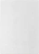 Ayyildiz, Kusový koberec Joy 1400 white, 60x100, bílá, chodba / předsíň