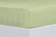 Florella Prostěradlo Avance Jersey 45 Grün, 90-100x200 cm