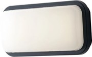 FAN LED-SHELLY-Q-L ANT Venkovní stropní svítidlo LED SHELLY antracit polykarbonát 20 W 2500 lm 3000/4000 K IP65 29,6x14,6x7,6 cm - FANEUROPE