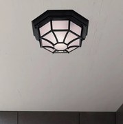 Searchlight 2942BK Stropní hliníkové svítidlo VERMONT černé IP54