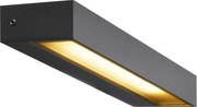 LA 1002069 PEMA® WL, LED venkovní nástěnné nástavbové svítidlo, IP54, antracit, 3000K - BIG WHITE (SLV)