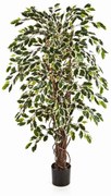 Ficus Liana umělý V 120 cm