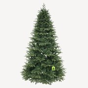 Smrk Himalájský 150 cm
