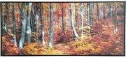 Bondecor Obraz na plátně v rámu "Podzim v lese" 134x59cm Barva: Přírodní rám