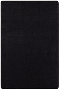 Hanse Home, Kusový koberec Nasty 102055 Schwarz, 200x300, černá, chodba / předsíň