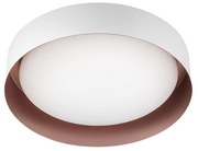 Linea Light 8286 Crew_2, stropní svítidlo s bílo-měděným límcem, 12W LED 3000K, prům. 26cm