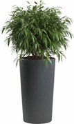 PLASTOVÝ KVĚTINÁČ URBANIKA ECO 75X41 CM ANTRACITOVÁ