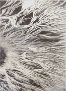 BE Koberec Elite 8752 BEIGE - béžový obdélníkový Rozměr: 120x180 cm
