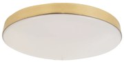 Stropní LED svítidlo Maya, 1x LED 15w, 4000k, g