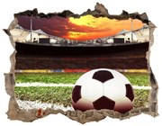 Wallmuralia Fototapeta díra na zeď 3D Míč na stadioně 95x64 cm