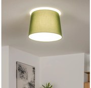 Brilagi - LED Přisazený lustr CERIA 1xE27/40W/230V pr. 30 cm zelená