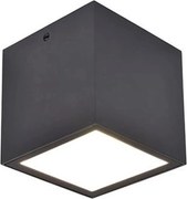 LUTEC LED stropní svítidlo GEMINI tm. šedé 6,9W 750lm 4000K IP65 85x85x85mm