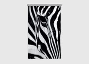 Dekorativní závěs Zebra | 140 x 245 cm | DFCPL6519