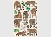 Samolepka na zeď Safari Leopardi | 42.5 x 65 cm | DSM3463