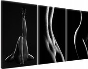 Obrazy na zeď Triptych Nástěnná dekorace Akt Žena Černobílá 90x180