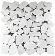 Kamenná mozaika Premium Mosaic Stone bílá 31x31 cm mat STMOSWHW