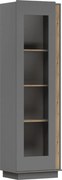IDZ Vitrínová skříň GREY II 1D 02, 58 cm Šedá/Dub Artisan