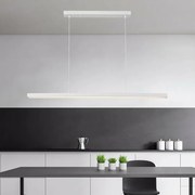 Brilagi - LED Lustr na lanku PAXIS LED/30W/230V 120 cm bílá