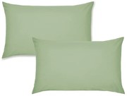 Perkálové povlaky na polštáře v sadě 2 ks 75x50 cm Easy Iron Percale – Catherine Lansfield