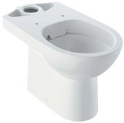 Geberit Selnova - WC kombi mísa, zadní odpad, Rimfree, bílá 500.285.01.7
