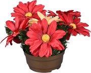 Nohel Garden Květina gerbera léto aranžmá v misce, mix, 25 cm