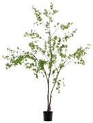 Umělá rostlina (výška 214 cm) Enkianthus – Kave Home