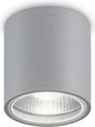 ILUX 163642 Venkovní stropní svítidlo Ideal Lux Gun PL1 grigio 163642 šedé IP44 - IDEALLUX