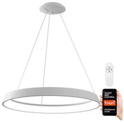 Immax NEO 07079L-80 - LED Stmívatelný lustr na lanku LIMITADO LED/48W/230V 80 cm