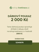 Dárkový poukaz - 2000 Kč