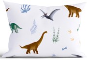 MK Lůžkoviny Bavlněný povlak na polštář Renforcé 50 x 70 cm - Dinosauři