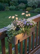 Sinsay - Solární LED světla ve tvaru květin - růžová