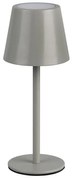 Šedá LED stolní lampa s kovovým stínidlem (výška 21 cm) Diaz – Reality