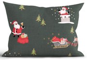 MK Lůžkoviny Vánoční bavlněný povlak na polštář Renforcé 50 x 70 cm - Polární sen zelené