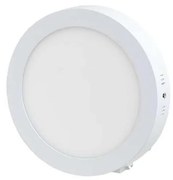 LED Stropní svítidlo LED/12W/230V